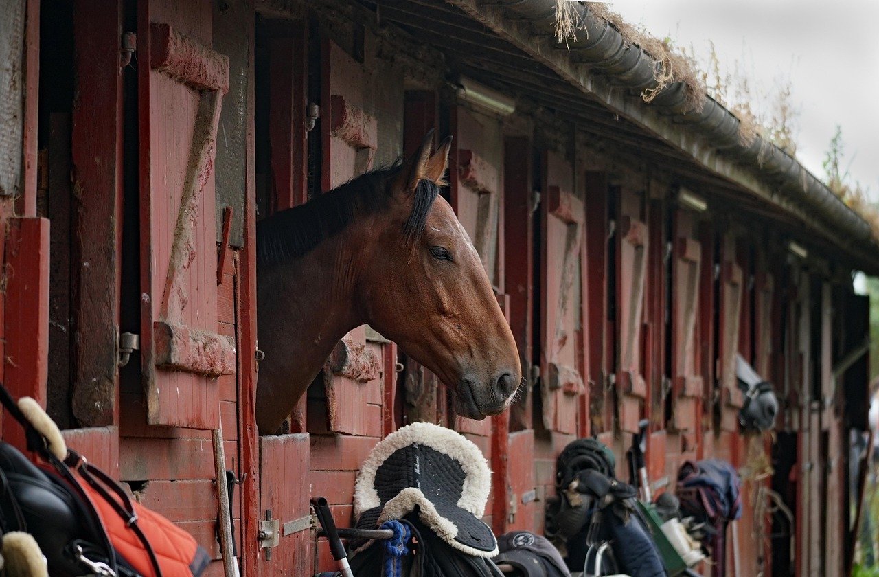 ISCA Livery Stables Ltd Horse riding school in Gwent, Gwent